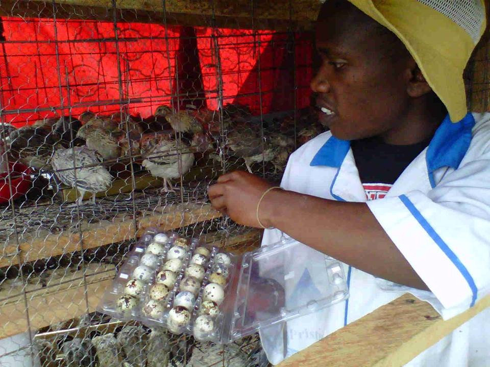Poultry Farm