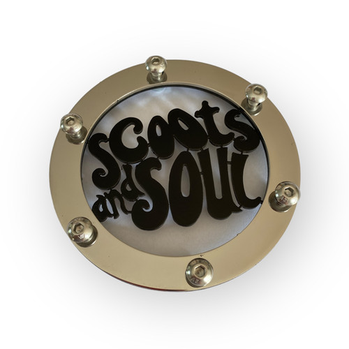 Scoots and Soul® Stainless Steel Carb Panel Grill | Scoots and Soul