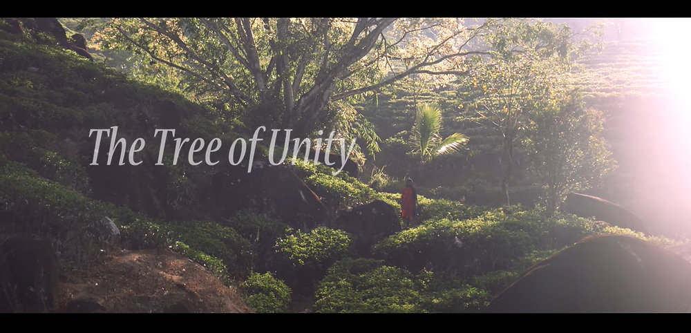 The Tree of Unity | Baha'i Short Film | Uplifting Words