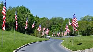 Renewing Subscribers - Single Flag for Five Holidays | Bowling Green AOF