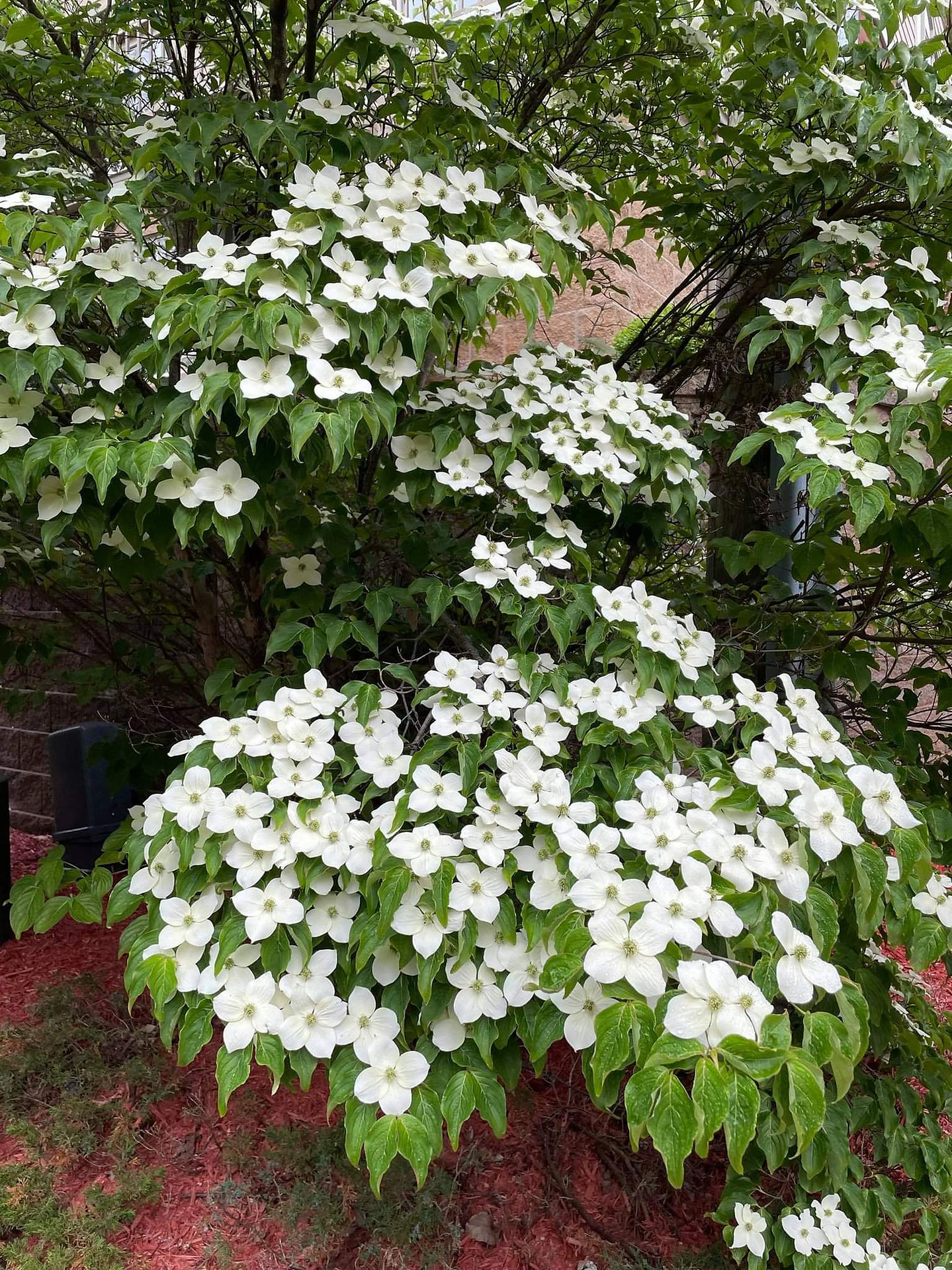 Home | Christians Landscaping