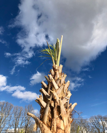 Photo Gallery | Florence Al Rv Park