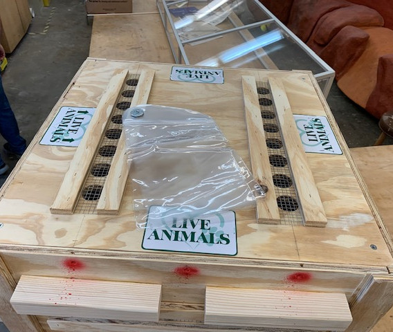 Gallery | The Science of Sloths by The Educated ZooKeeper LLC