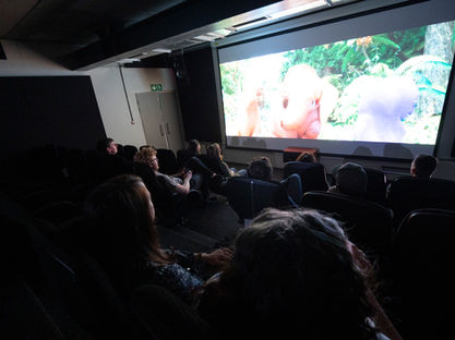 Home | Sunrise Animation Studios | Production Company