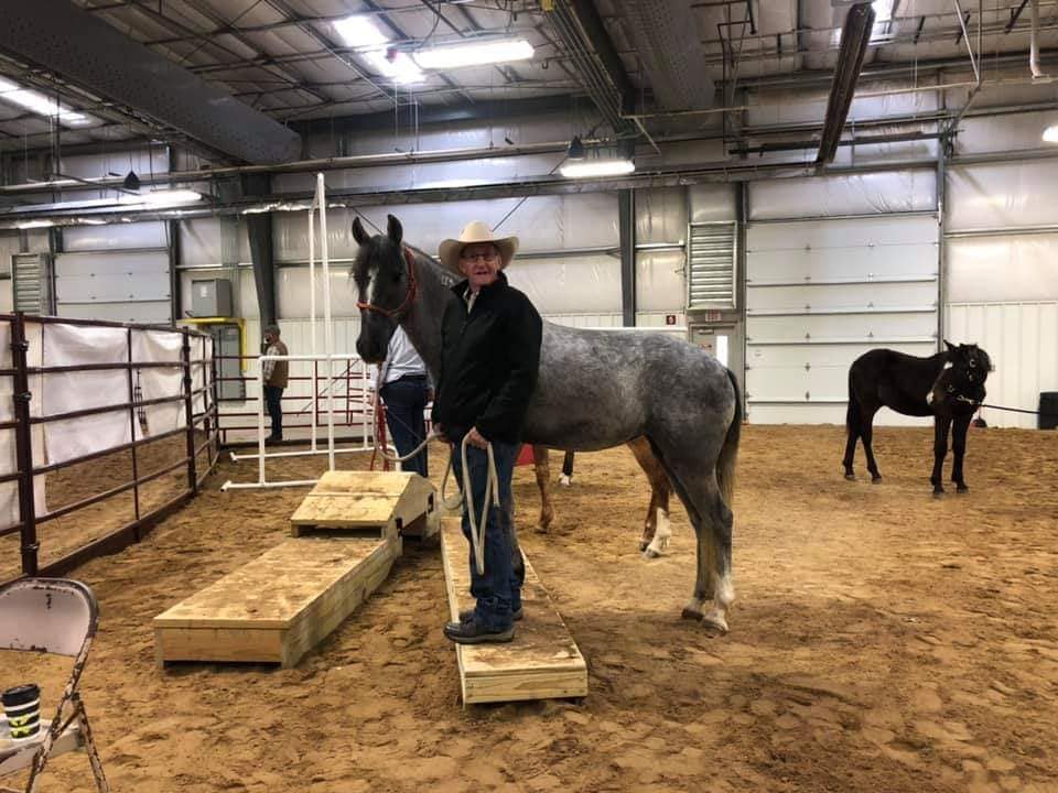 Mustang Makeovers | True Partnership Horse Training