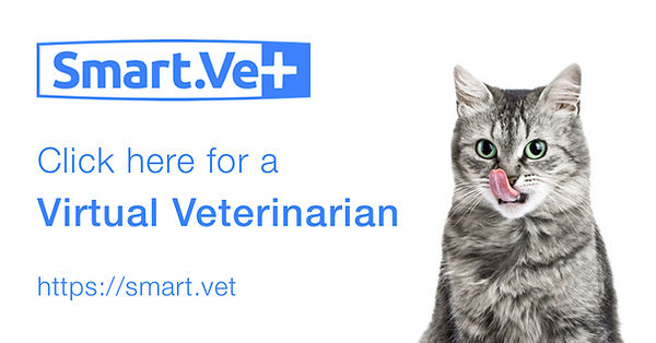 SMART.VET | Fort Malden Animal H