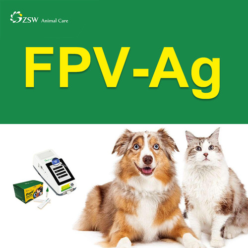 Feline parvovirus(FPV-Ag ) Test Kit | JZSW Animal Care