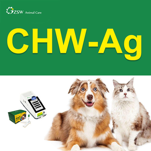 Canine Heartworm Antigen （CHW-Ag） Test Kit | JZSW Animal Care