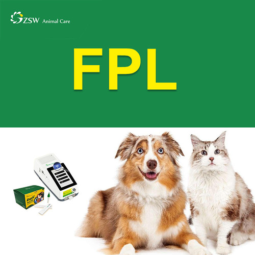 Feline Pancreas Lipase (fPL)Test Kit | JZSW Animal Care