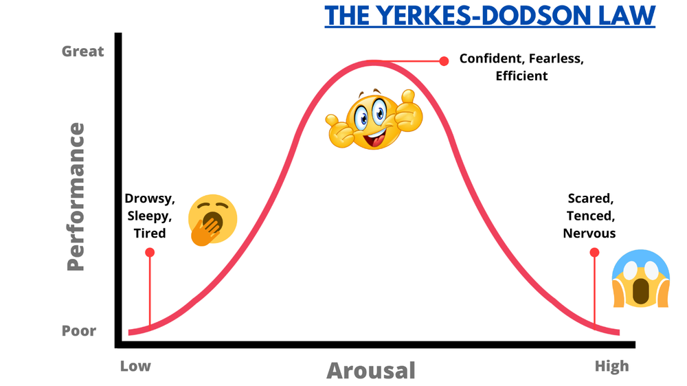 Eustress – Can Stress be a good thing?