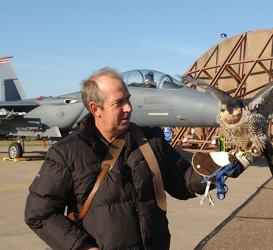 phoenix bird control