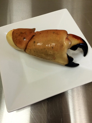 Colossal Stone Crab Claws | lwrlobsterpound