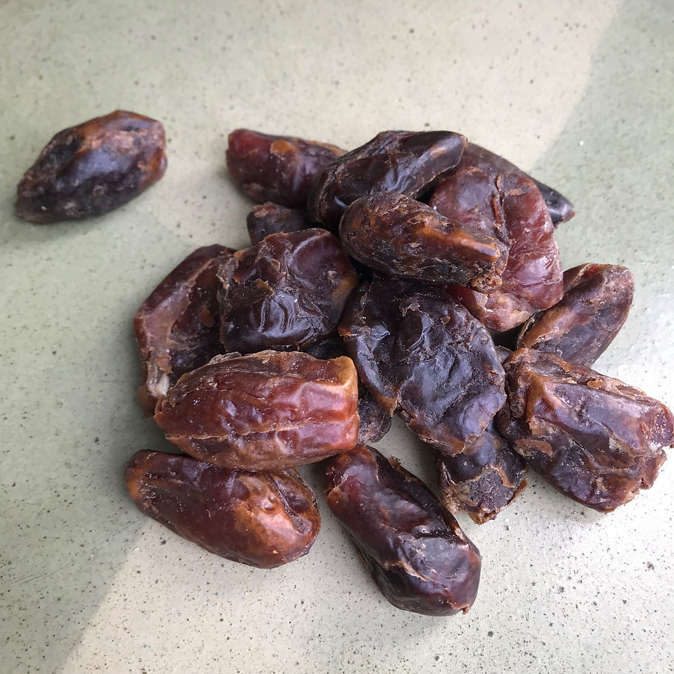 Pitted Dates 100g Oat Float