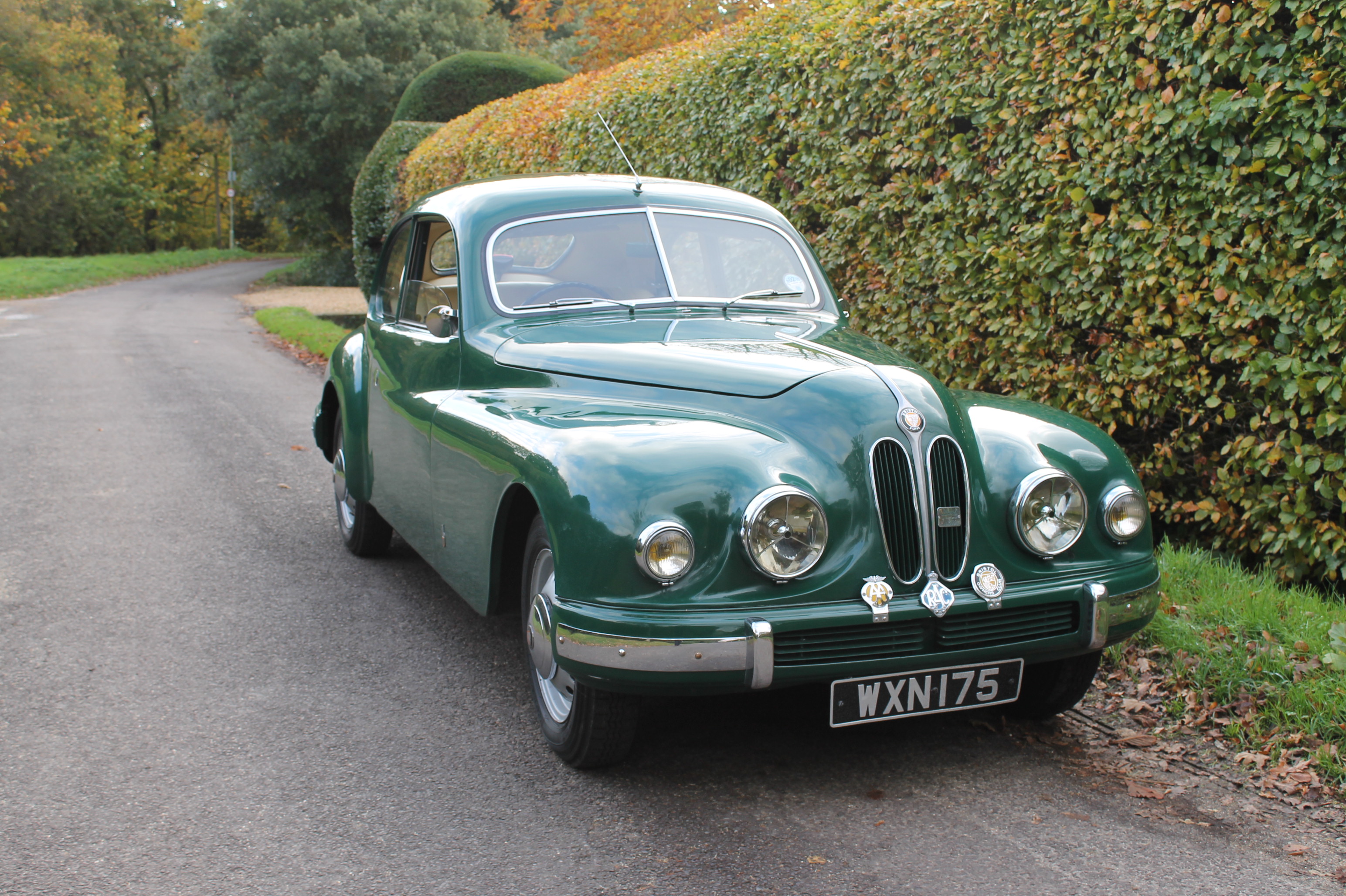 1951 BRISTOL 401 | rorystokes