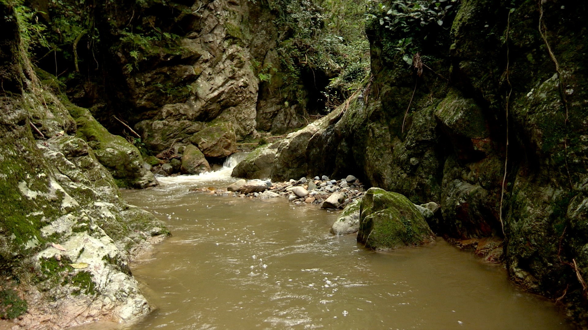 El Tambo | Abundant Living Ecuador | AB ECUADOR
