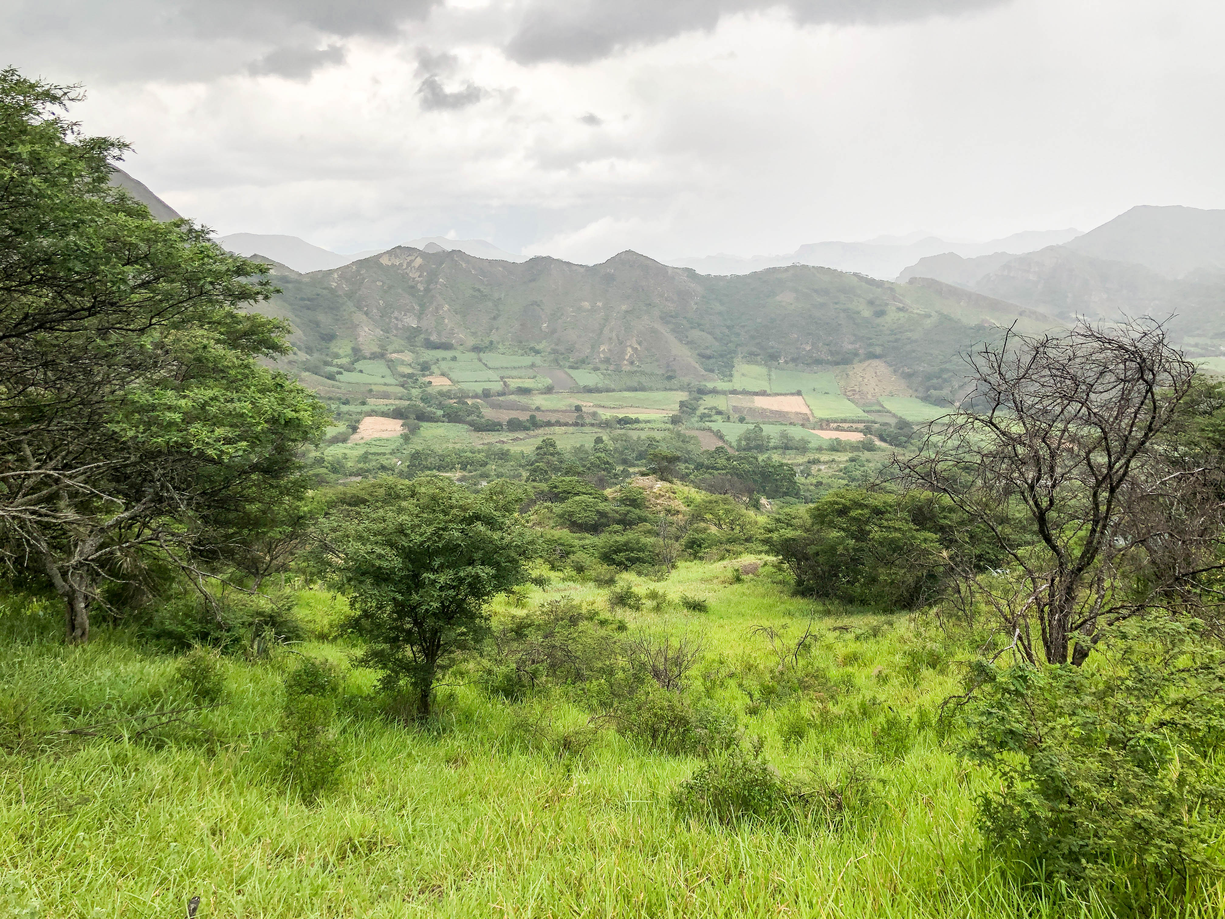 Amazing Riverfront Find in Quinara