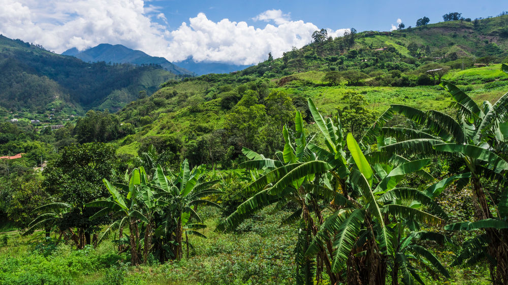 What is Ecuador's Climate?