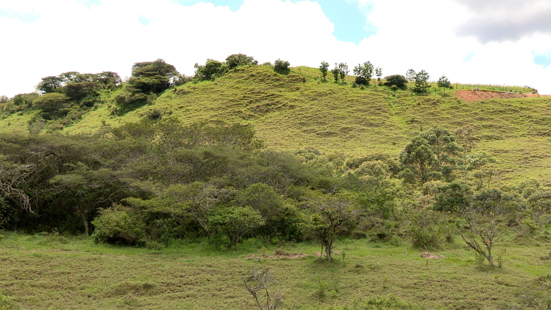 El Tambo | Abundant Living Ecuador | AB ECUADOR
