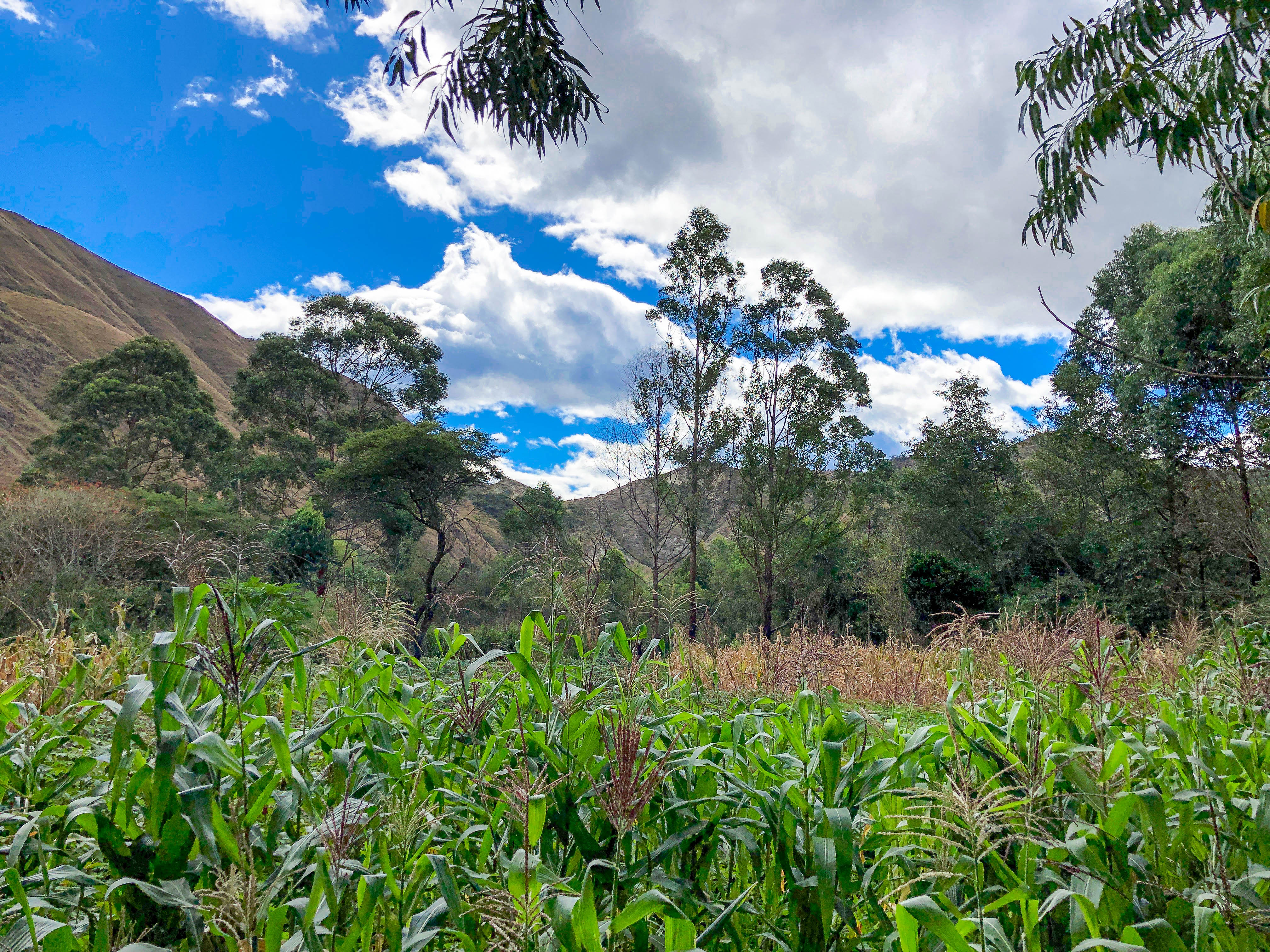 Amazing Riverfront Find in Quinara