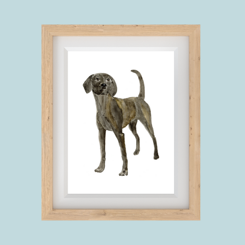 Plott Hound Art Print | Rebecca Powell