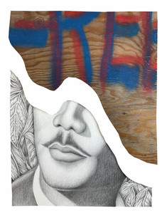 CANVAS / PANEL | Alejandro Macias