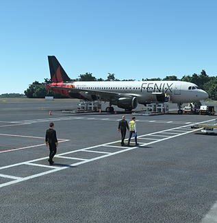 Downloads | VREF Simulations