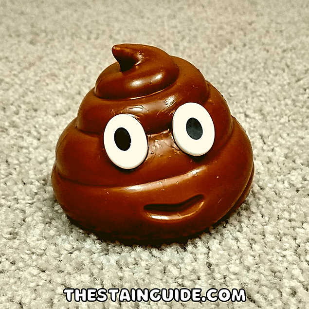 How to Remove Feces (Poop) Stains From Carpet | The Stain Guide