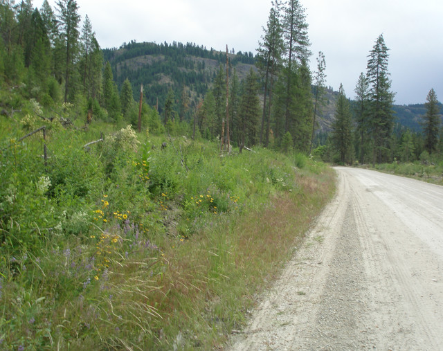 Protecting the Sanpoil River Corridor | Ferry Conservation