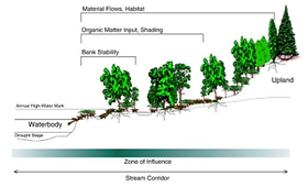 FCD Resource Library | Ferry Conservation