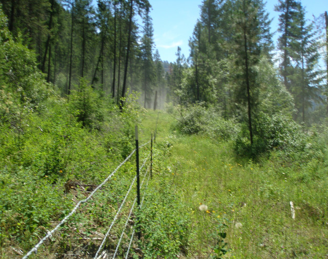 Protecting the Sanpoil River Corridor | Ferry Conservation