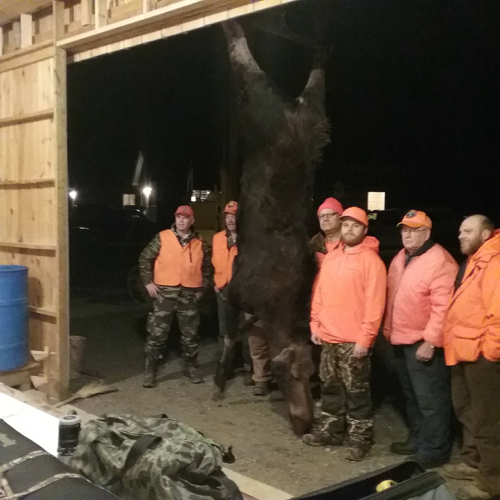 treebearcamp / bear hunting & fishing cottages Shining Tree Canada