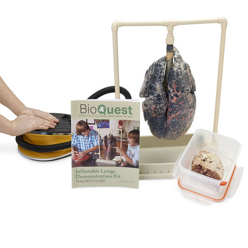 BioQuest® Simulated Smoker’s Lungs Demonstration Kit, Preserved ...