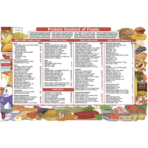 Nutrition Education Brochure - Protein Content of Foods - Pack of 50 ...
