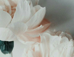 Medical Spa | Vybrance Medaesthetics in Clarkston Washington