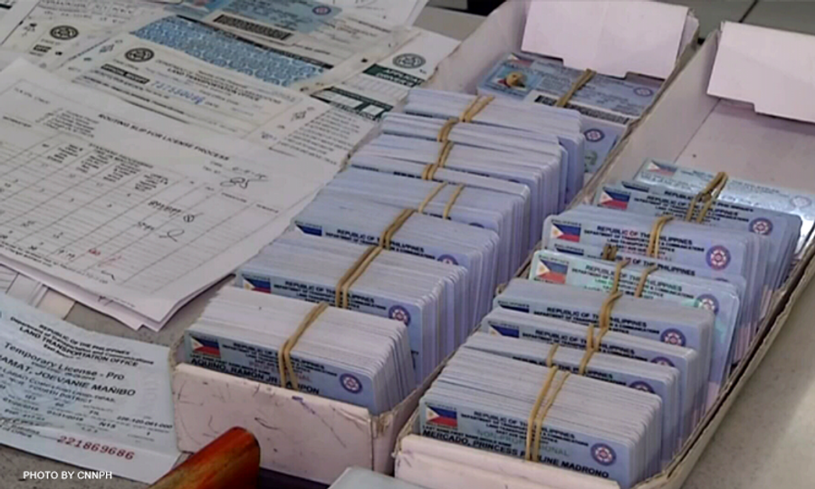 Driver's licenses expiring in Nov 2023 onwards to be extended until ...