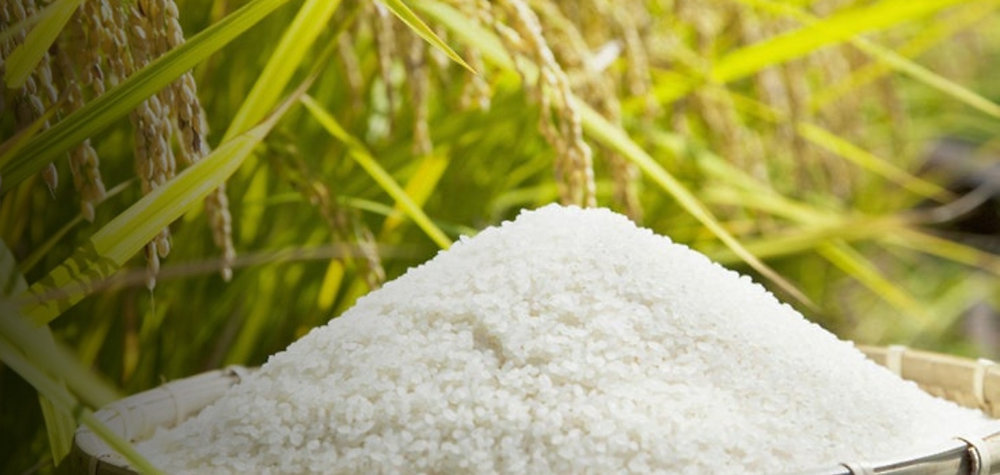 PH to remain as world’s top rice importer - USDA