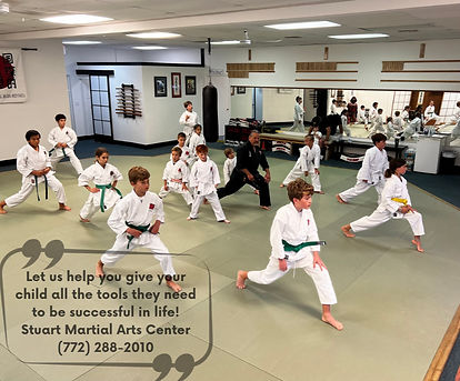 Programs | SMAC DOJO