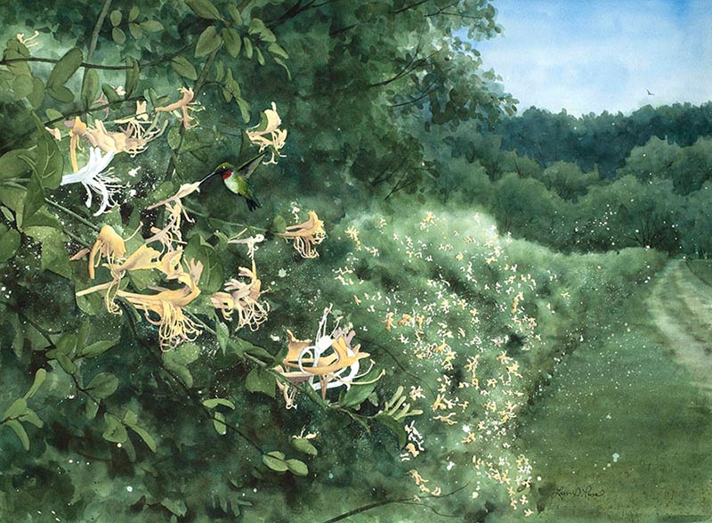 Laura D. Poss Watercolors | Paintings of Land and Sea