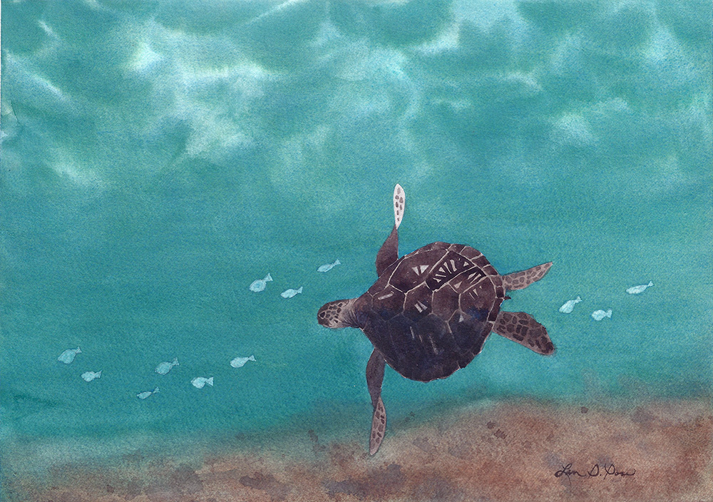 Laura D. Poss Watercolors | Paintings of Land and Sea