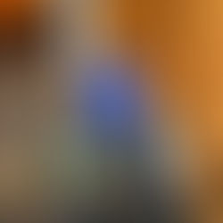 NEWS | Coast Salish Group