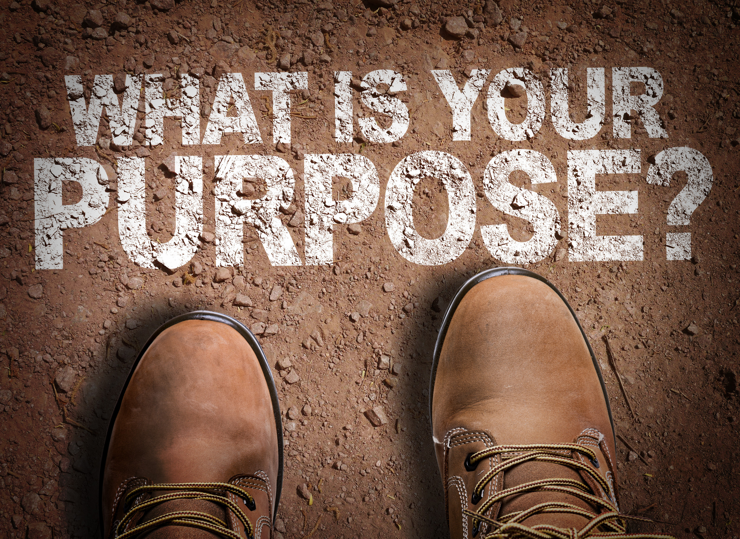 Beyond Passion in 2024 - A Case for Purpose-Driven Leadership