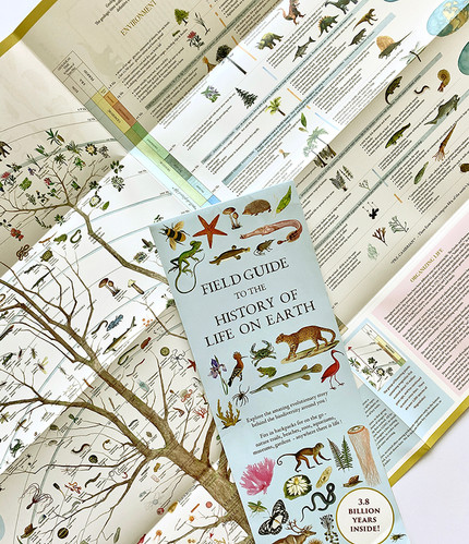 Field Guide - Natural History of Life on Earth | Nature's Materials