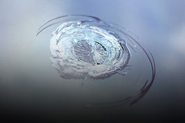 PermaPlate | Products