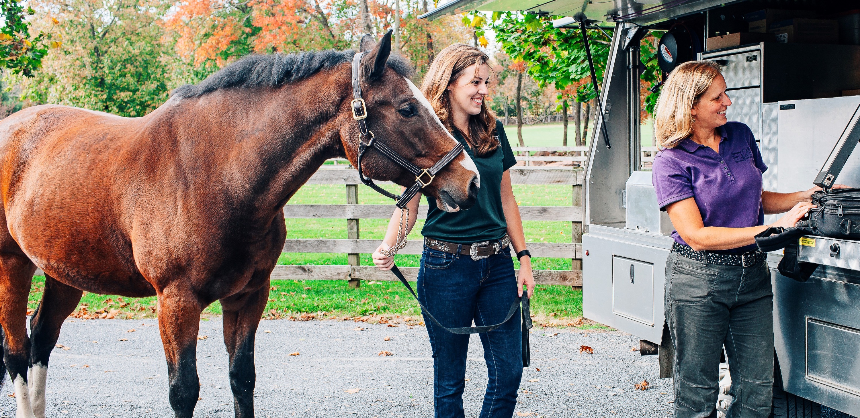 Veterinarian | Alliance Equine Health Care | United States