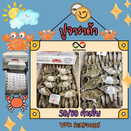 ปูจาราด้า 50/80 ตัวเมีย | Vpkseafoods