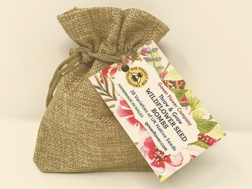 Mini Bag of Wildflower Seed Bombs 4 Seed Bombs with Product Card ...