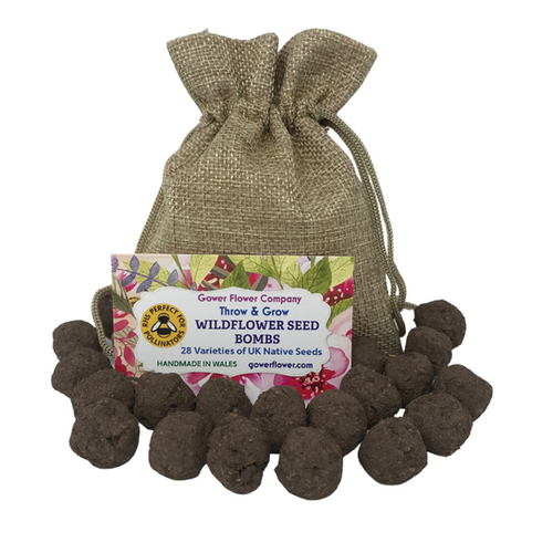 Bag of 20 Wildflower Seed Bombs | Gower Flower Company