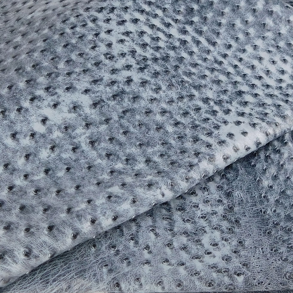 Rio Grande Ostrich | Larsonleatherco