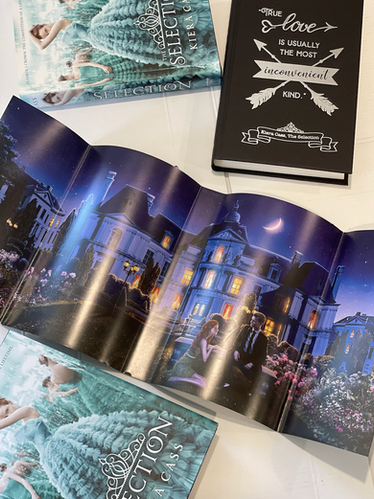 THE SELECTION * Reversible Dust Jacket* | Beacon Book Box