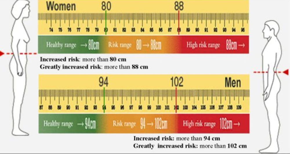 How Your Waist Size Increases Your Risk Of Disease